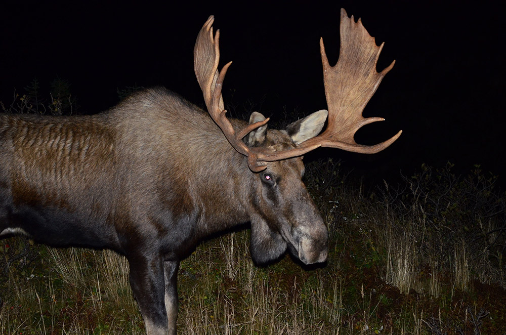 G.O. 016 - Alden Anderson | G.O. Get Outside