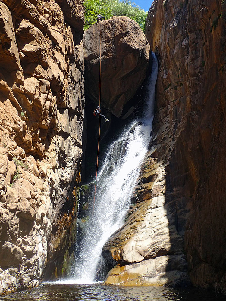 Daniel Elson, Mustachioed Animator Canyoneer Podcast