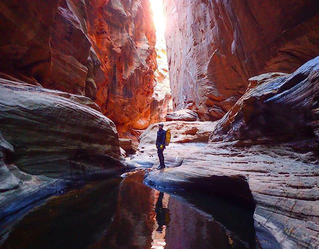 Daniel Elson, Mustachioed Animator Canyoneer Podcast