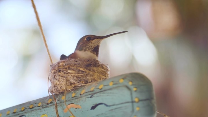 G.O. 061 - Ryan Dacey | G.O. Get Outside